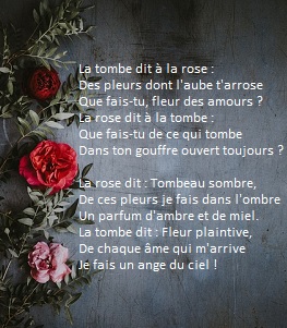 La tombe dit à la rose de Victor Hugo – Mélodies Françaises à Thèmes